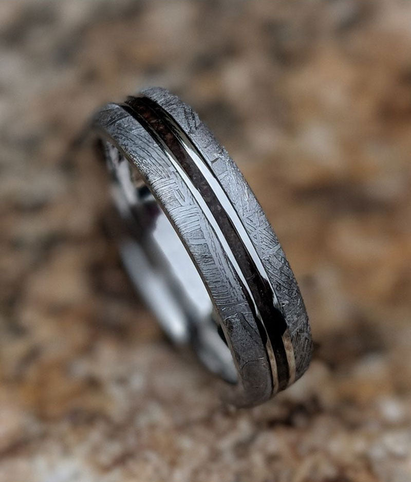 Dinosaur Rings | Dinosaur Bone | The Paleontologist - Luxurien